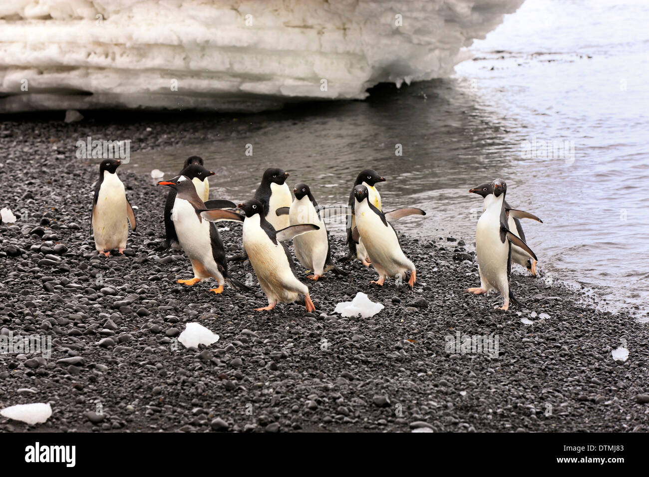 Demi lune isalnd Banque de photographies et d’images à haute résolution ...