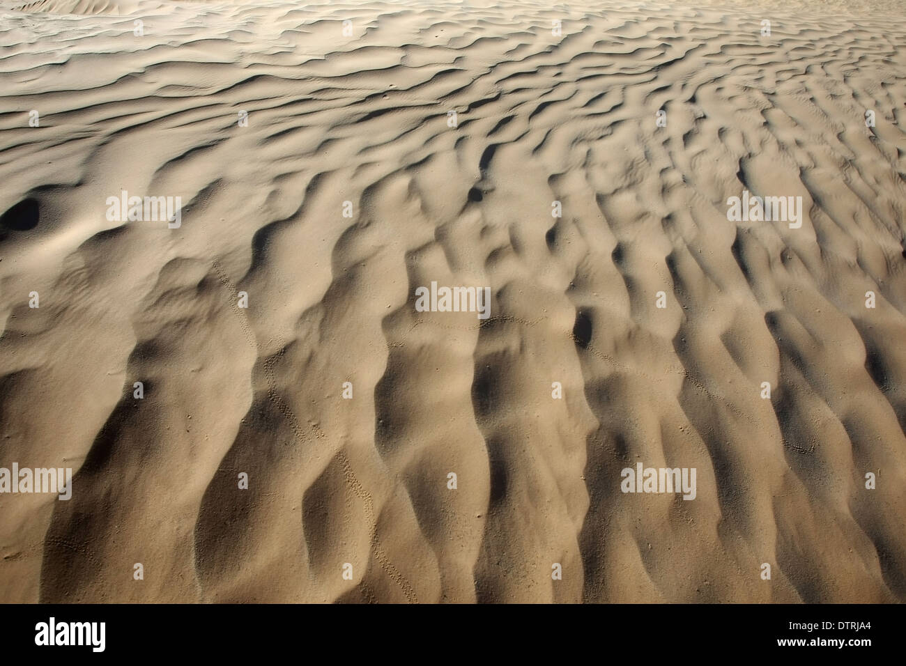 La texture du sable dans le désert du Sahara en Tunisie Photo Stock - Alamy