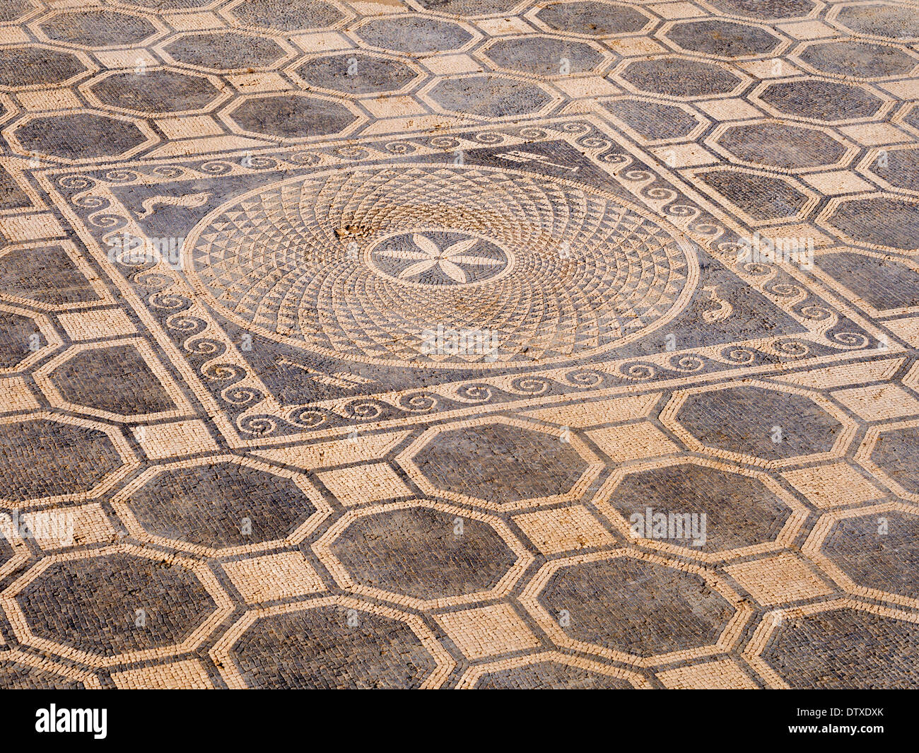 Sol de mosaïque en ruines d'Empuries. Un complexe de motifs colorés ...