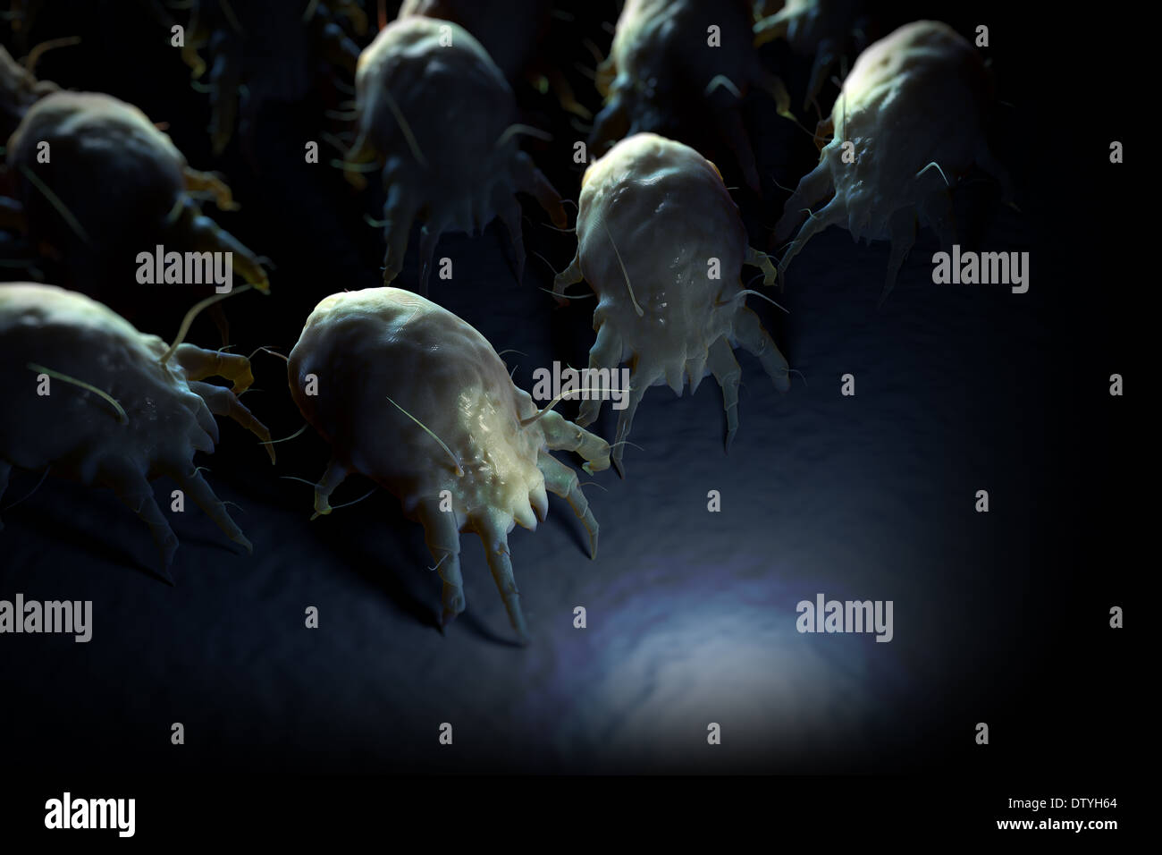 Allergie aux acariens Banque de photographies et d’images à haute ...