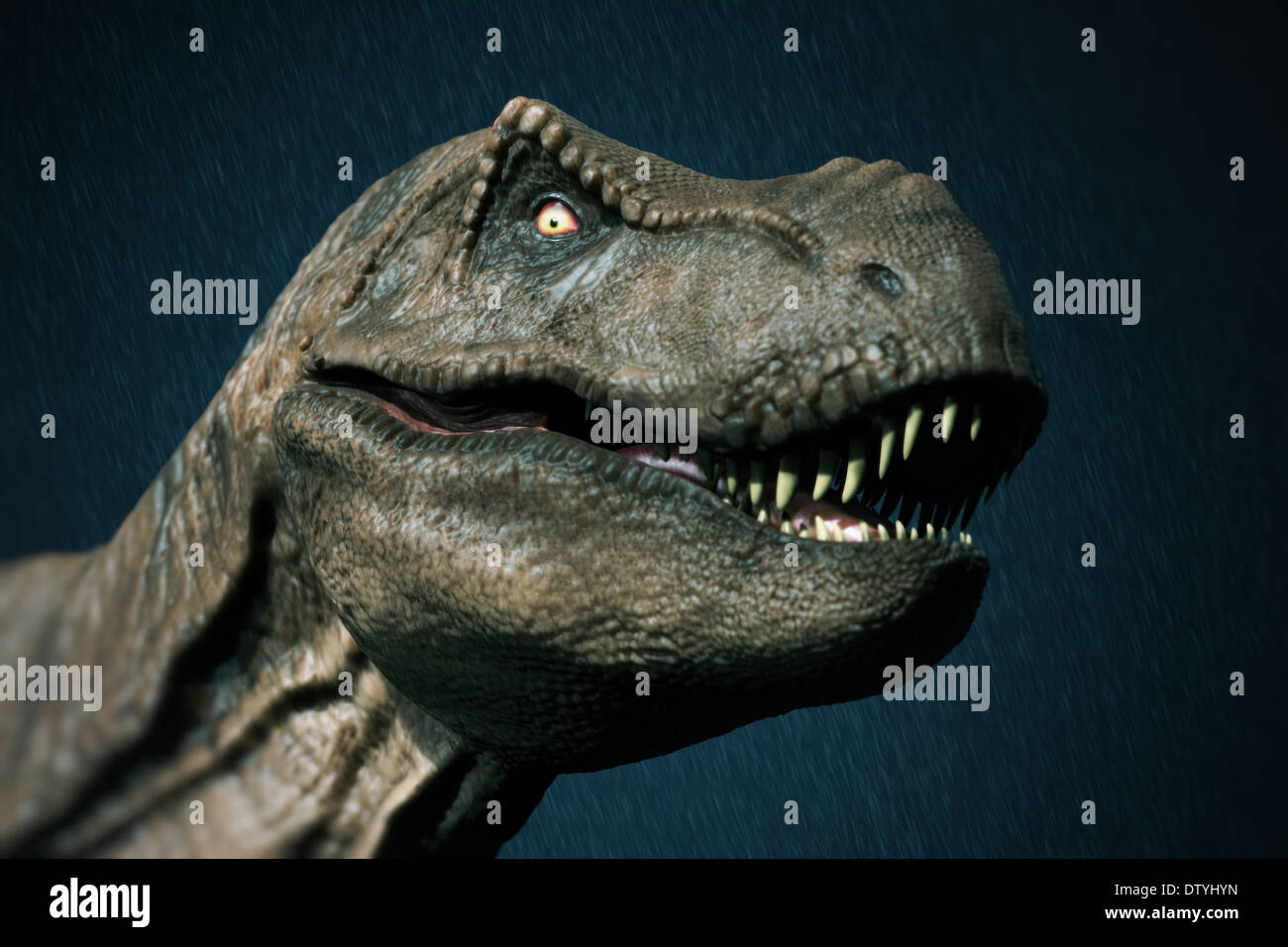 Side view tyrannosaurus rex dinosaur Banque de photographies et d’images à haute résolution - Alamy