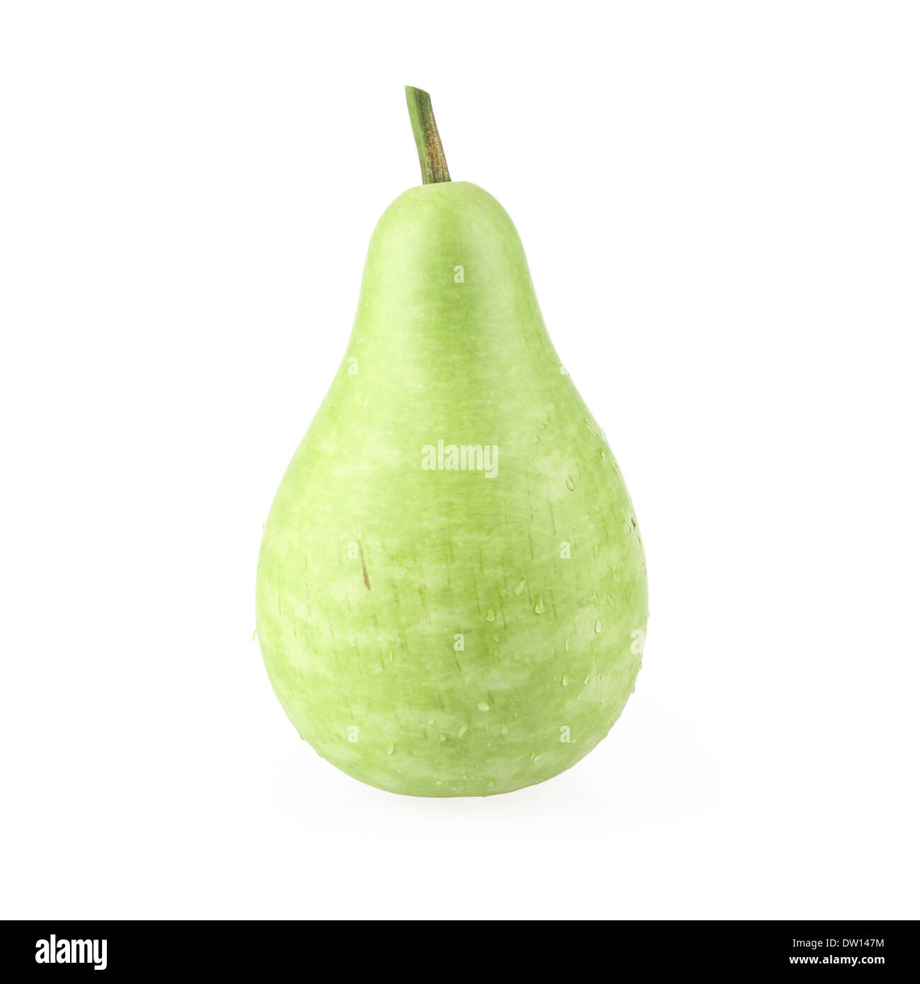 La calebasse Banque de photographies et d’images à haute résolution - Alamy