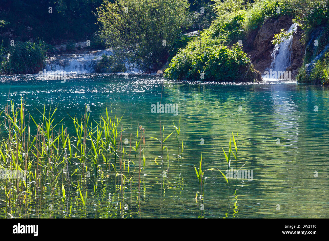 Vert d'eau et limpide Banque de photographies et d’images à haute ...
