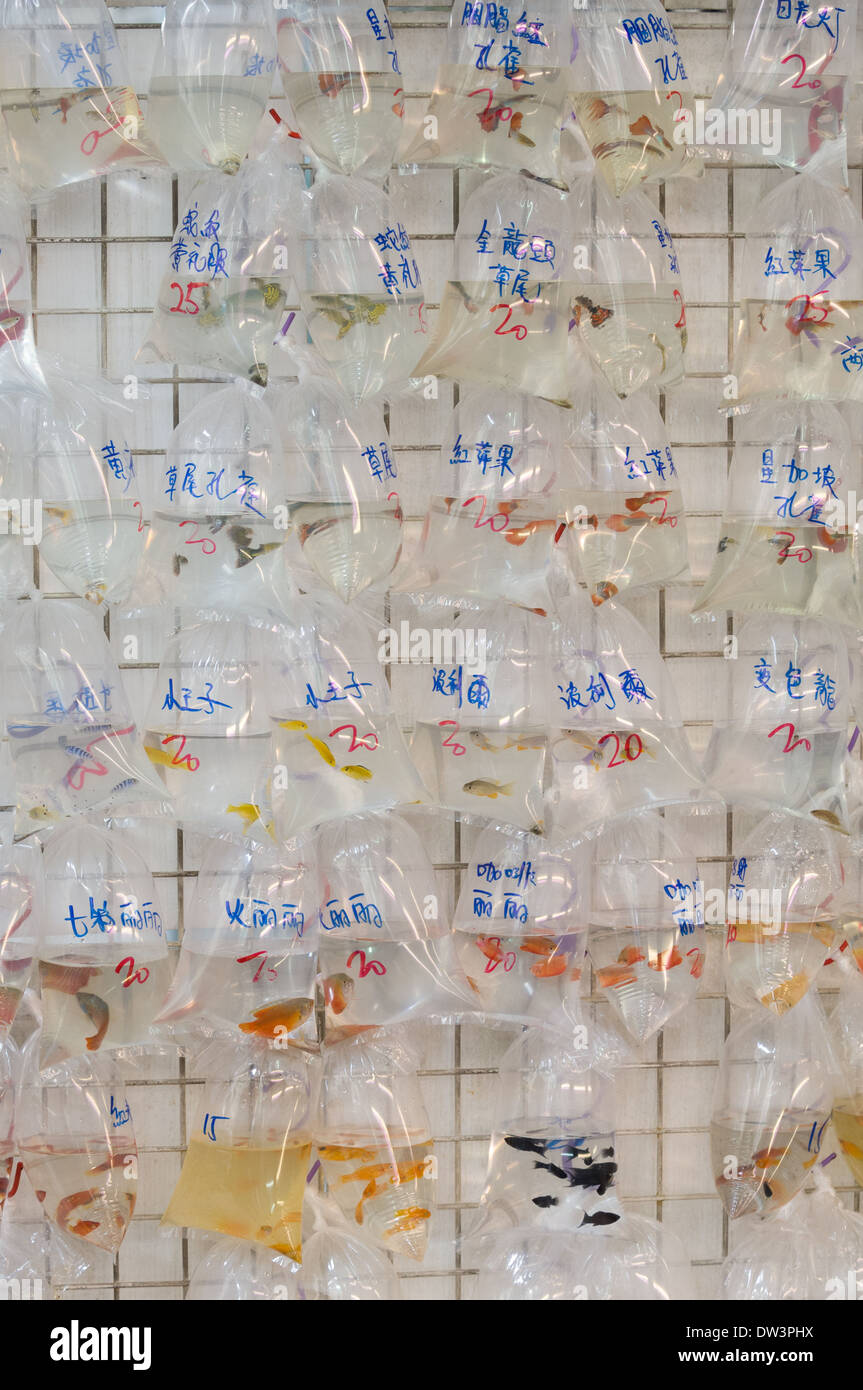 Vente de sacs en plastique de poisson rouge Banque de photographies et ...