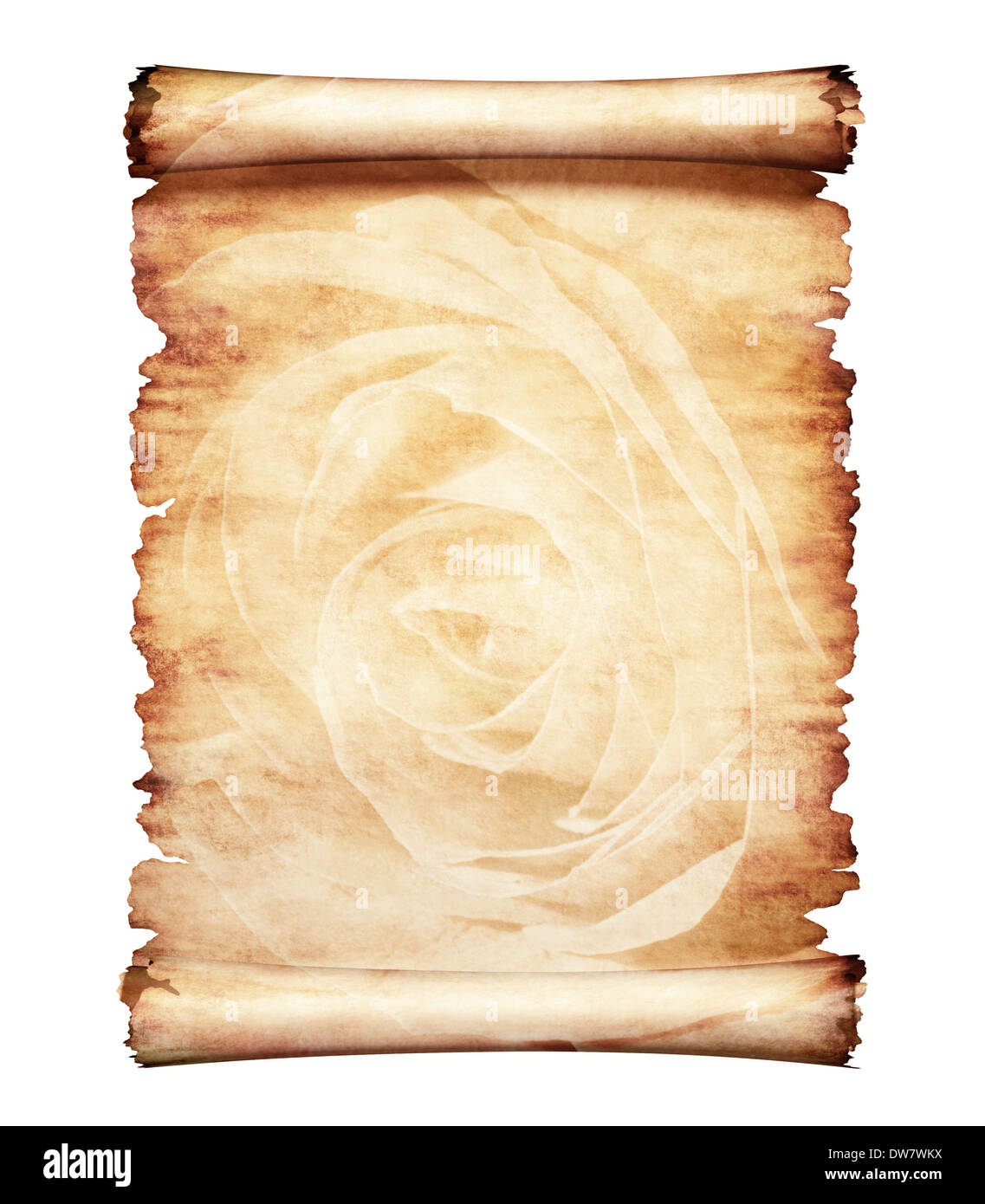 Vieux morceau de papier parchemin rose romantique avec design floral ...