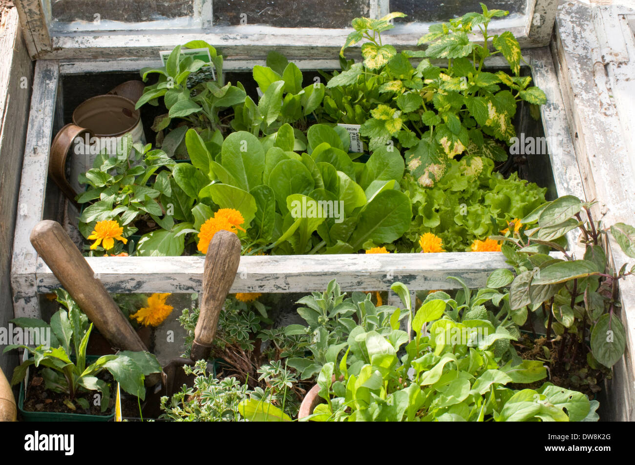 Cadre froid Banque de photographies et d’images à haute résolution - Alamy