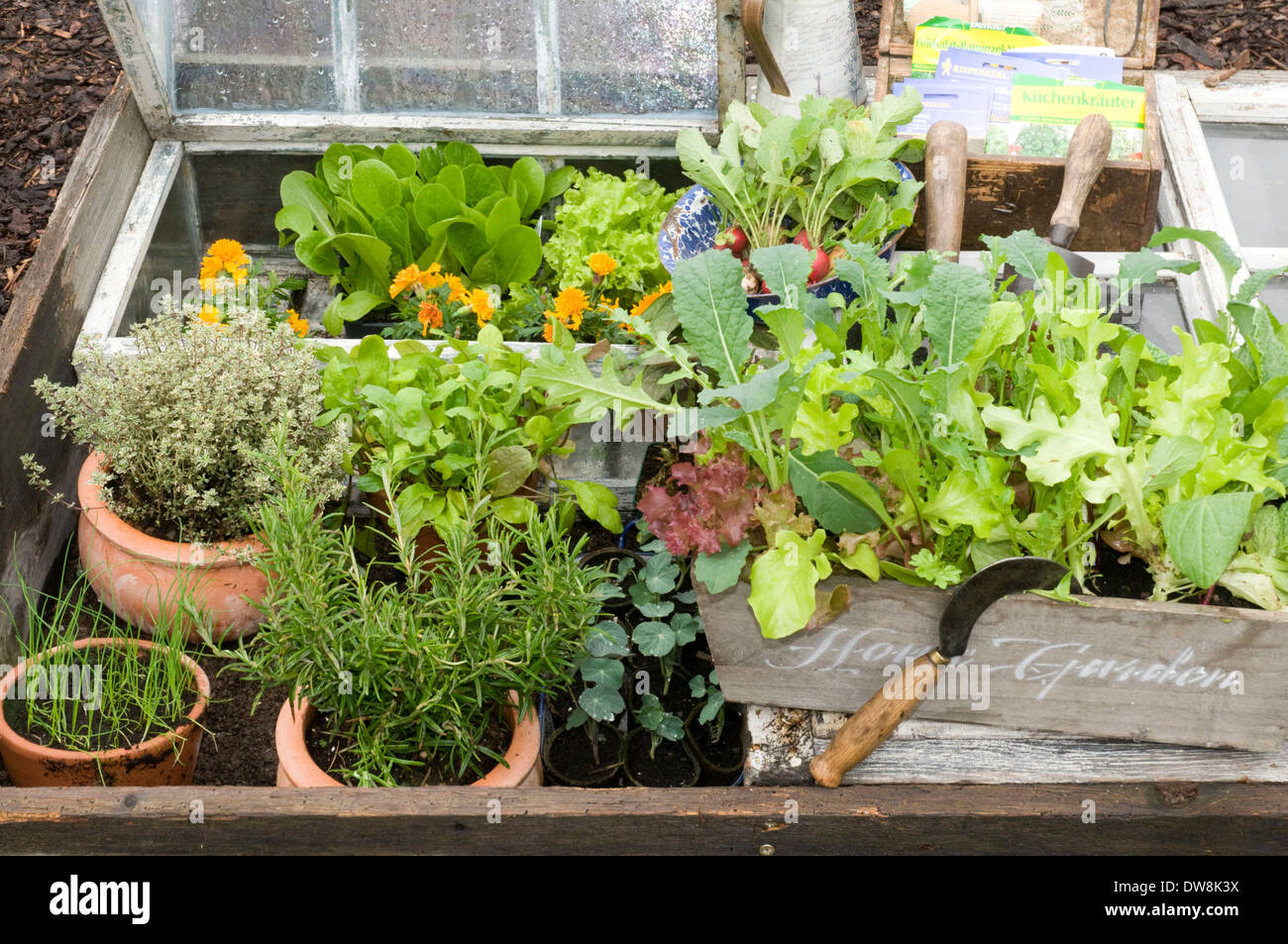 Cadre froid Banque de photographies et d’images à haute résolution - Alamy