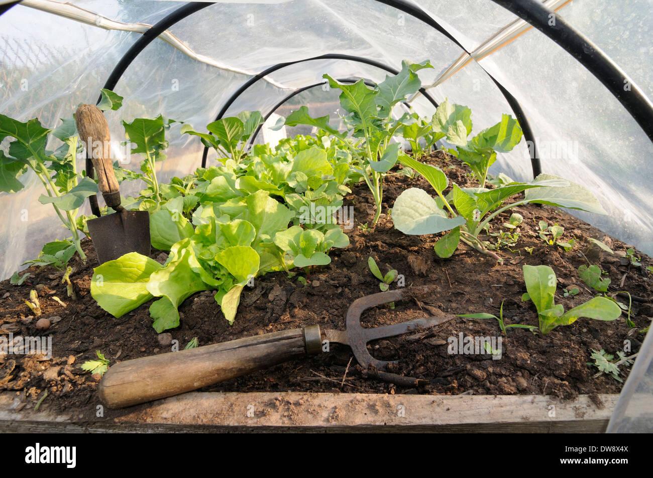 Cadre Froid Banque d'image et photos - Alamy