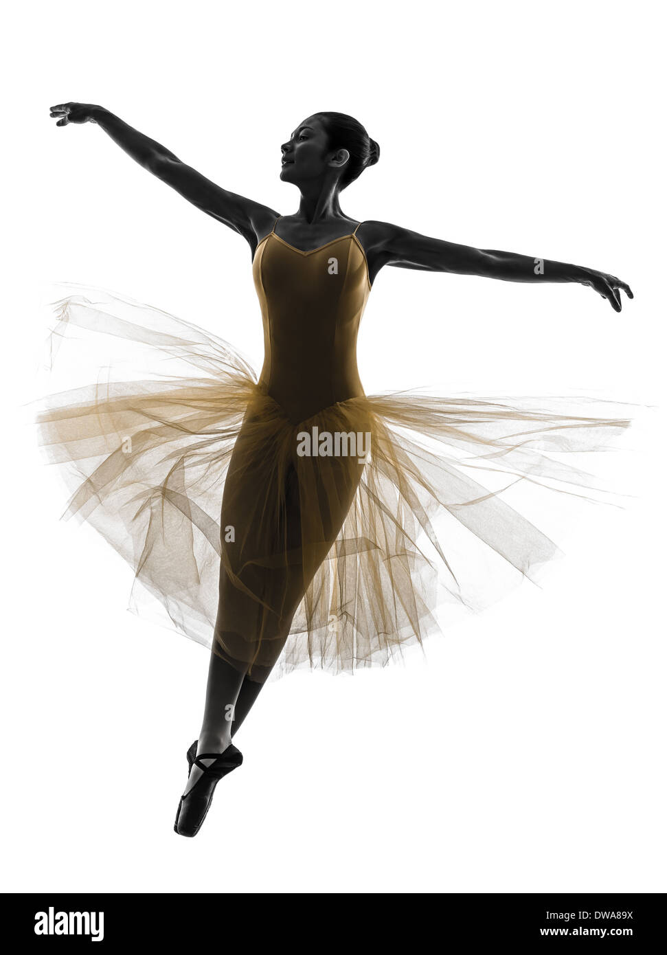 Danseuses de ballet Banque de photographies et d’images à haute ...