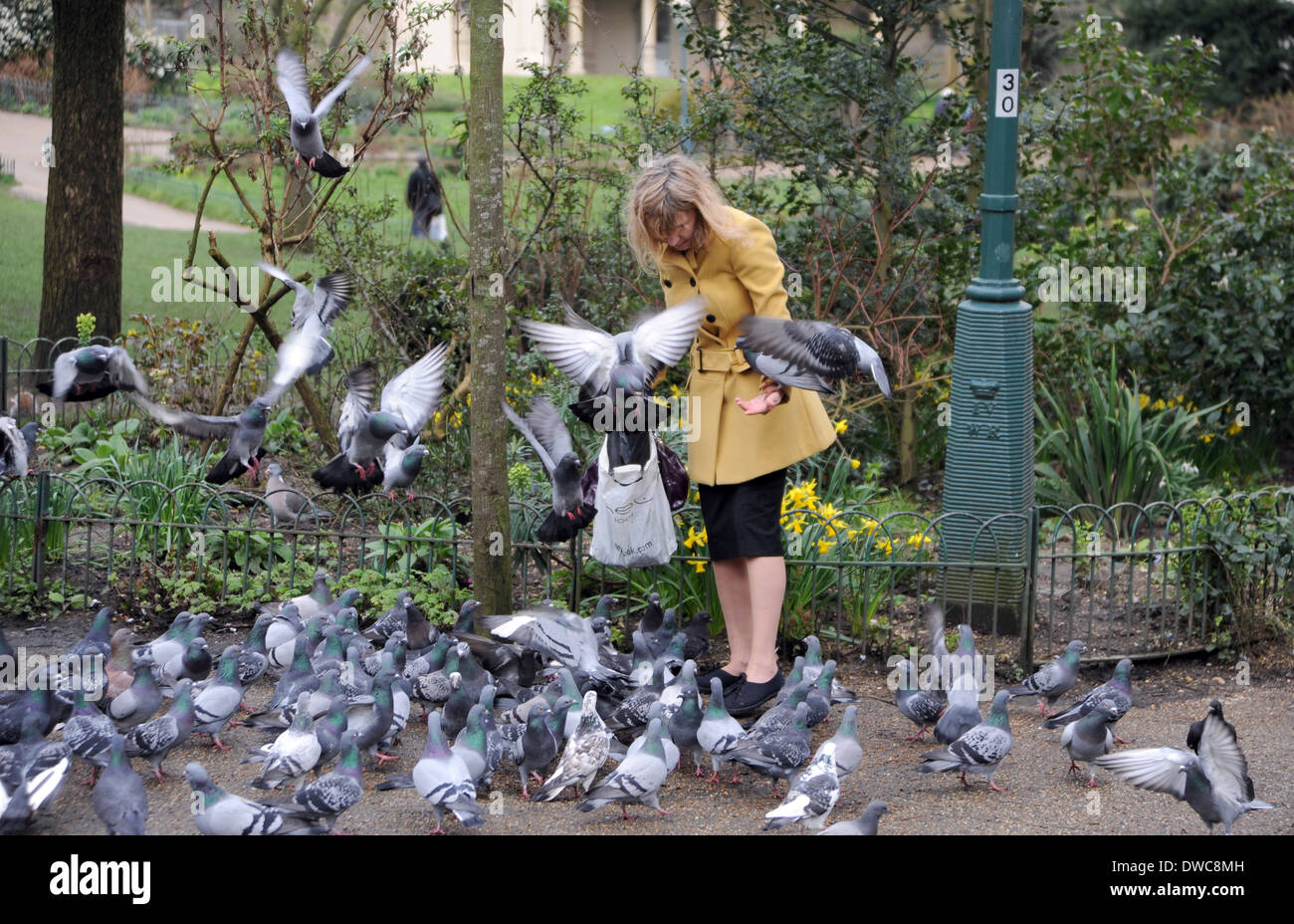 Femme donne à manger pigeon Banque de photographies et d’images à haute ...