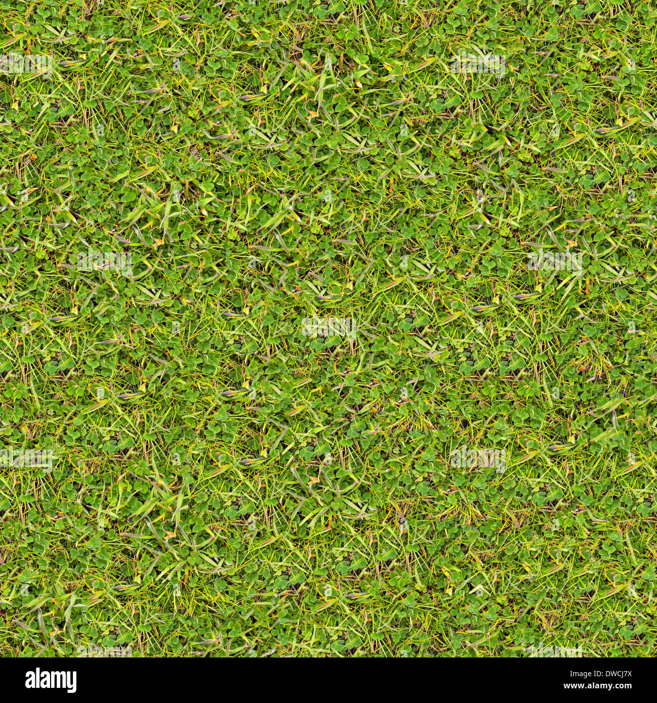 Clean seamless tileable grass texture Banque de photographies et d ...