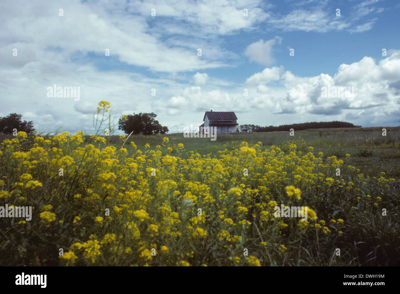 Parc national historique de la batoche Banque de photographies et d ...