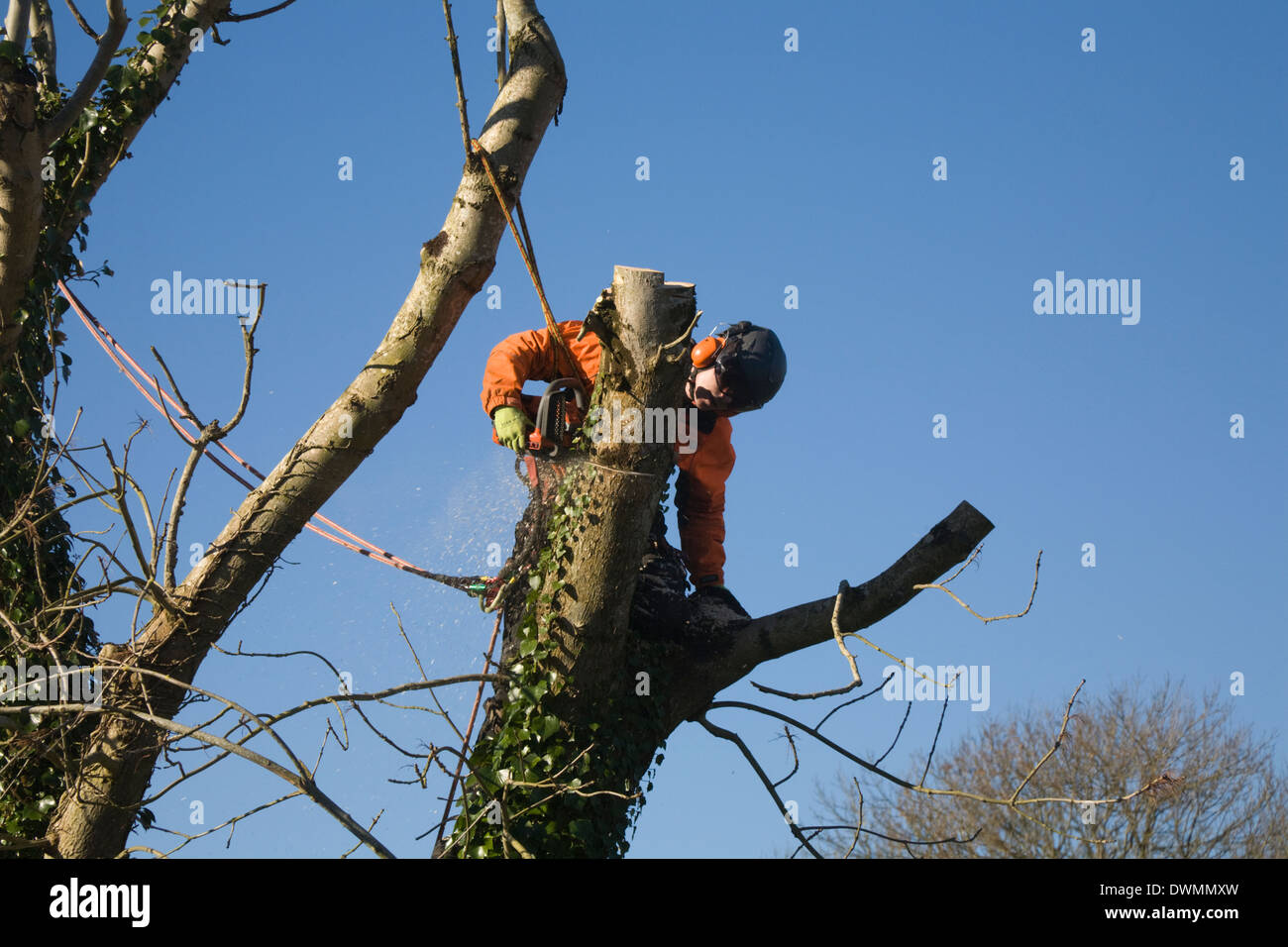 Lop off Banque de photographies et d’images à haute résolution - Alamy