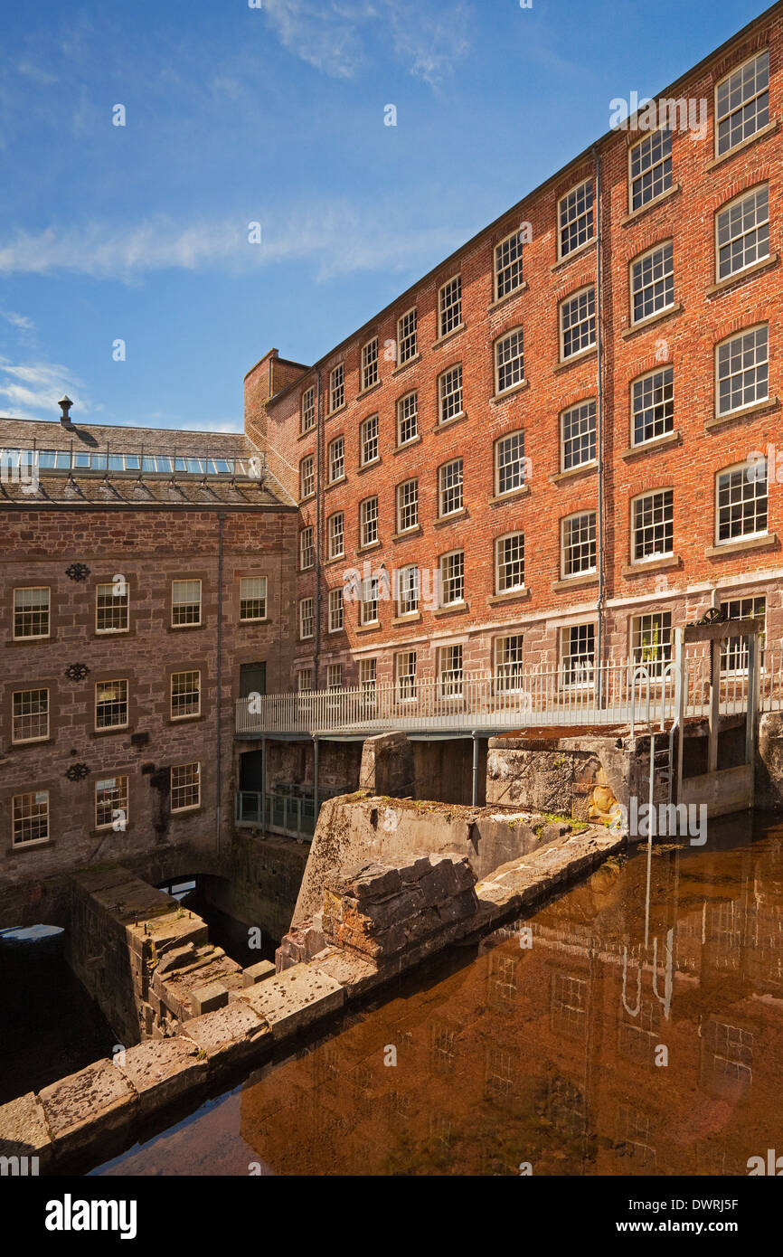 Stanley bell Banque de photographies et d’images à haute résolution - Alamy