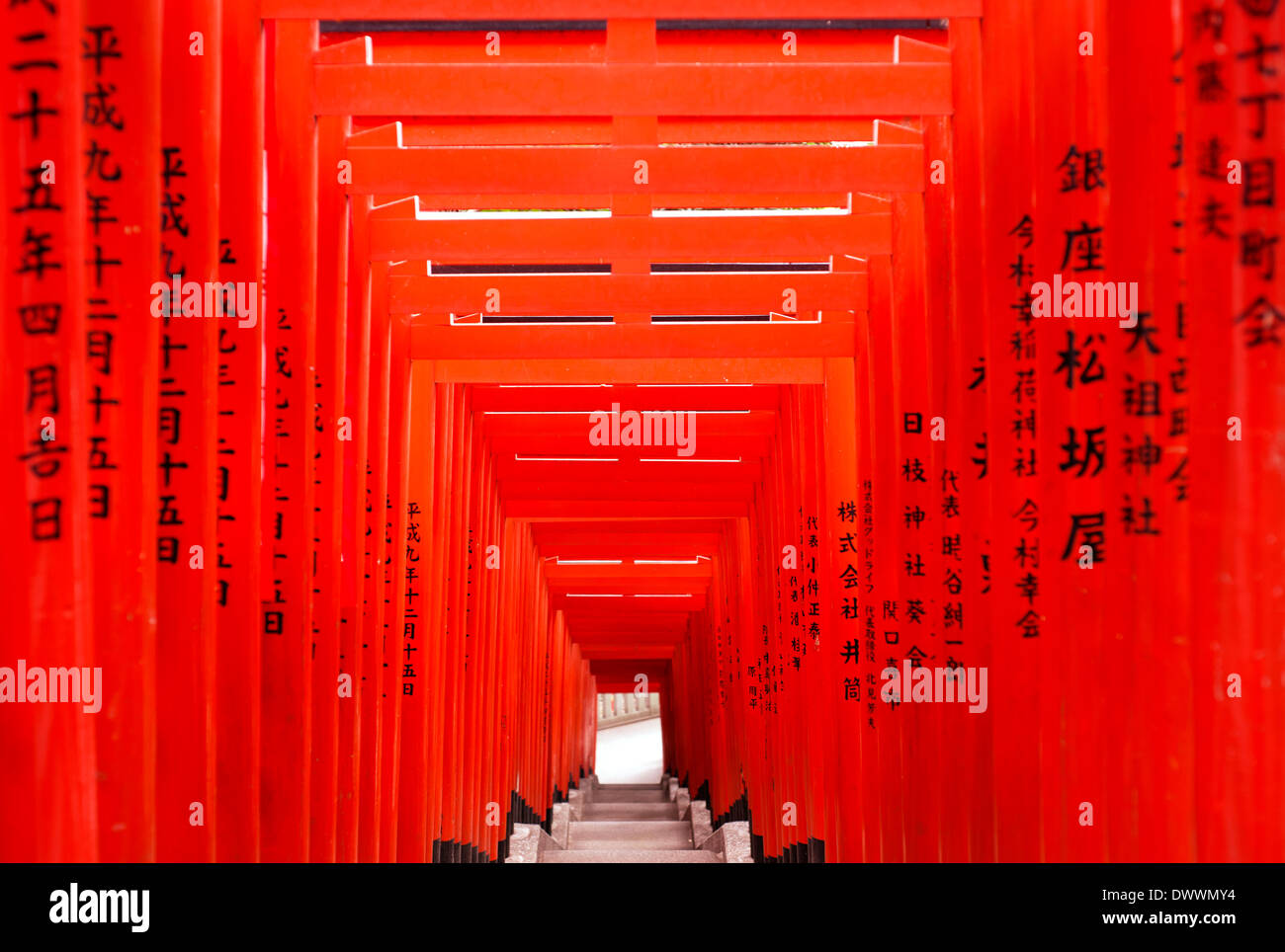 Temple torii Banque de photographies et d’images à haute résolution - Alamy