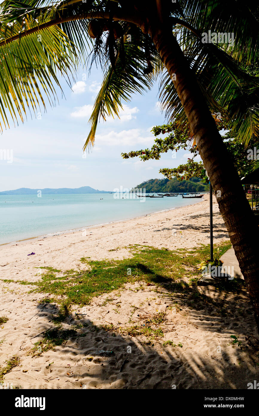 Chao ley Banque de photographies et d’images à haute résolution - Alamy
