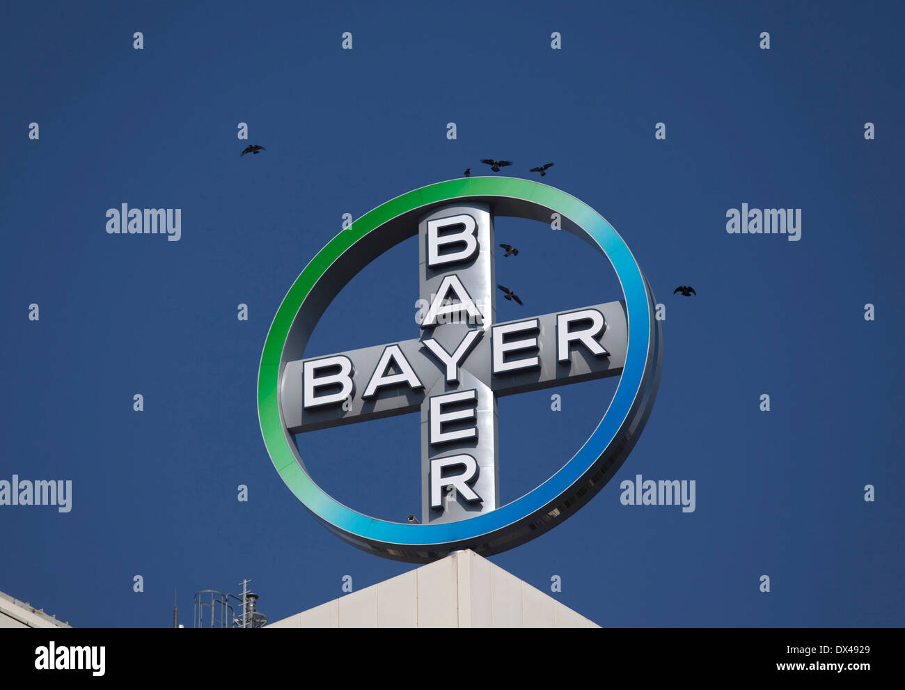 The bayer cross Banque de photographies et d’images à haute résolution ...
