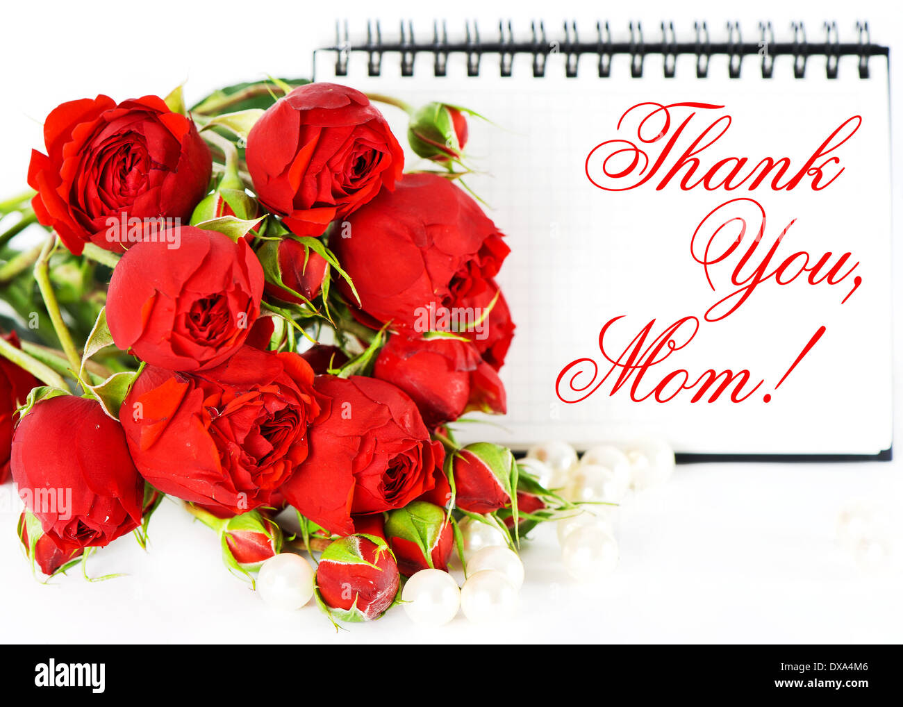 Merci note avec des roses Banque de photographies et d’images à haute ...