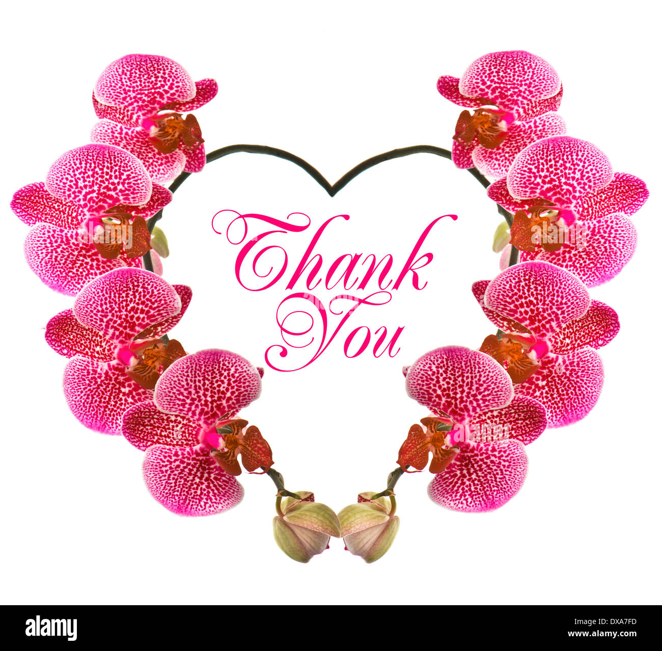 Merci de coeur Banque de photographies et d’images à haute résolution ...