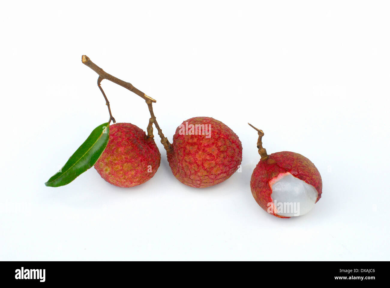 Litchi chinensis Banque d'images détourées - Alamy