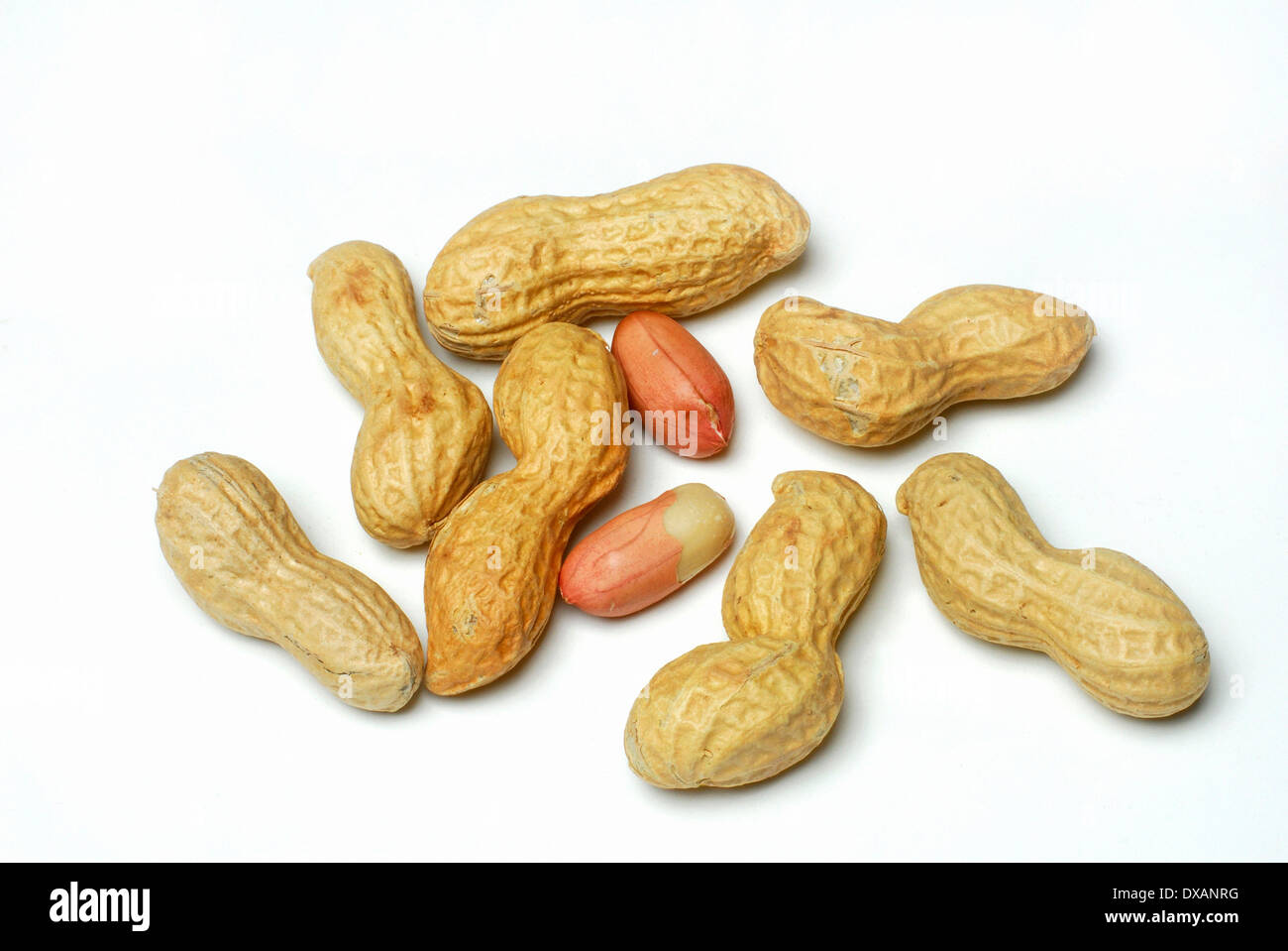 Arachide m Banque de photographies et d’images à haute résolution - Alamy