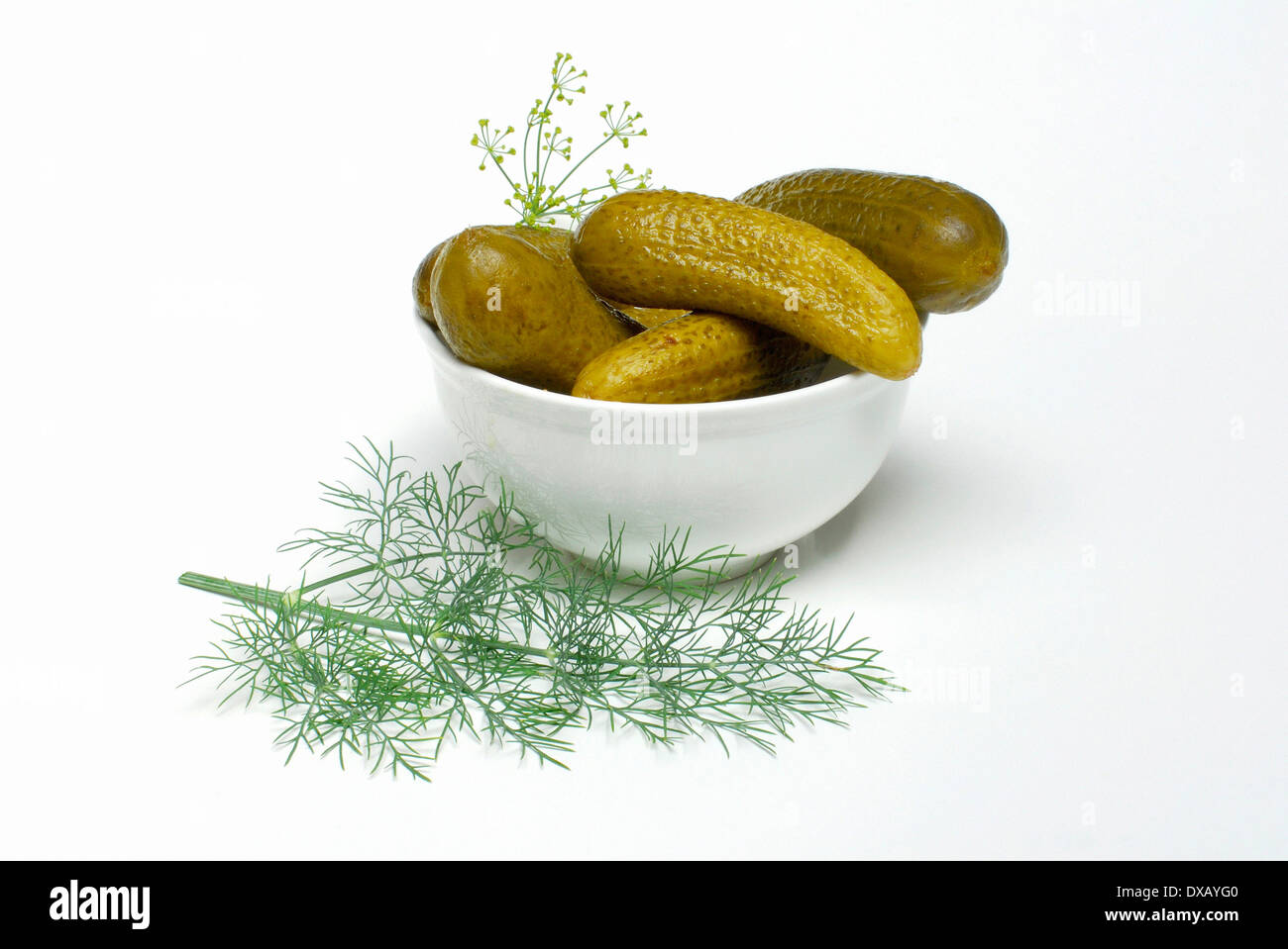 Le cornichon Banque de photographies et d’images à haute résolution - Alamy