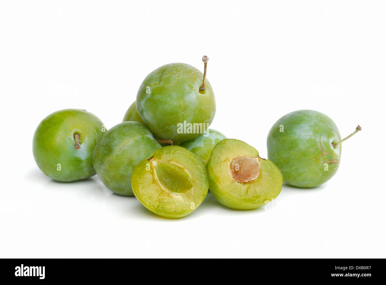 Prunus domestica reine claude Banque de photographies et d’images à ...