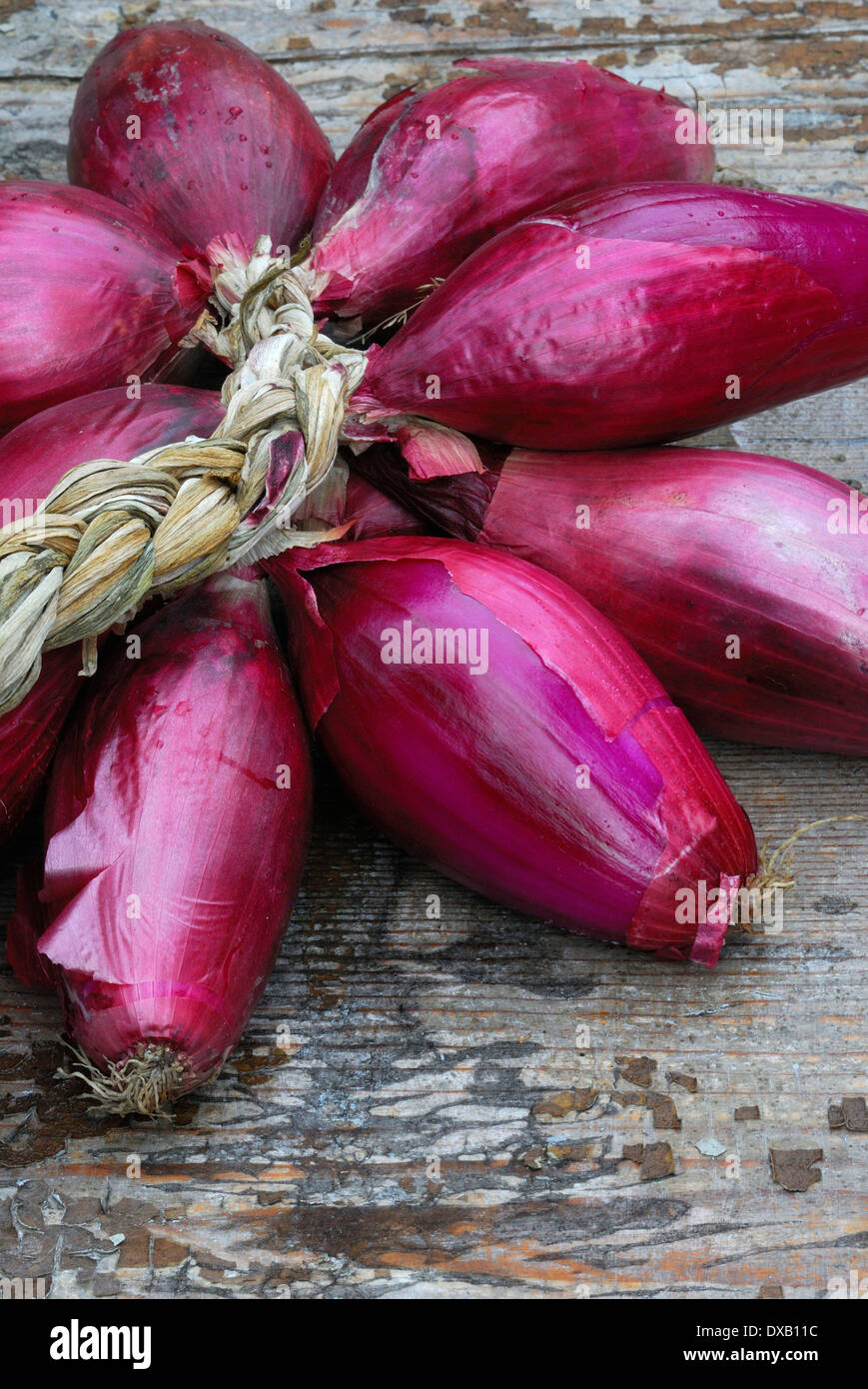 Oignons rouges Banque de photographies et d’images à haute résolution ...