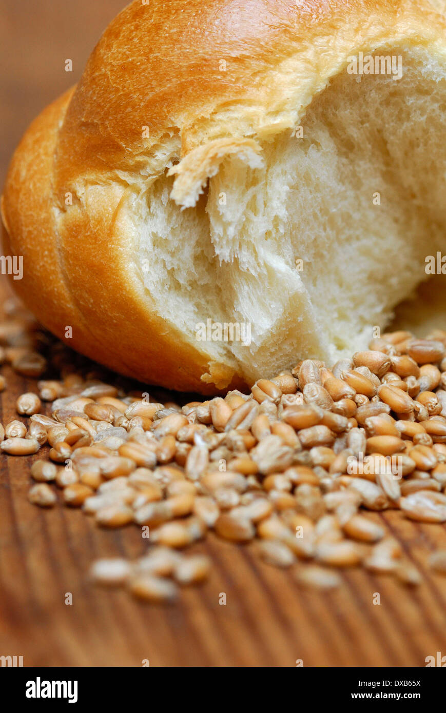 Wheat grain Banque de photographies et d’images à haute résolution - Alamy