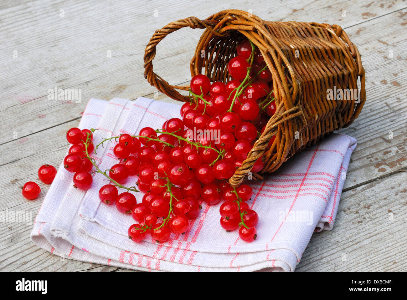 Groseille rouge Banque de photographies et d’images à haute résolution ...