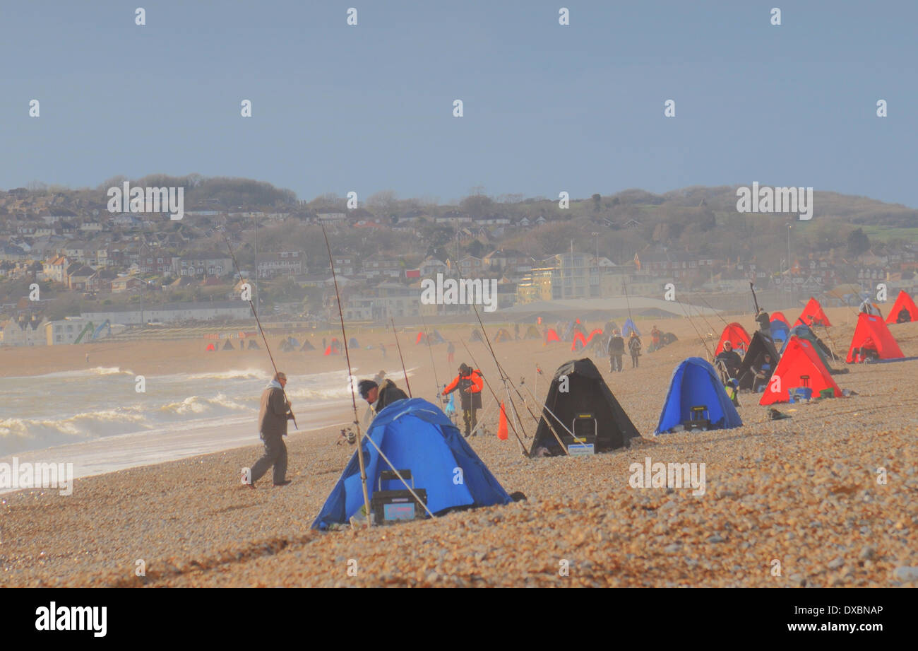 Poisson Burr Banque d'image et photos - Alamy