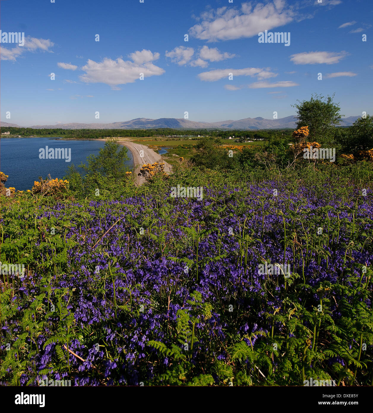 Tralee beach Banque de photographies et d’images à haute résolution - Alamy