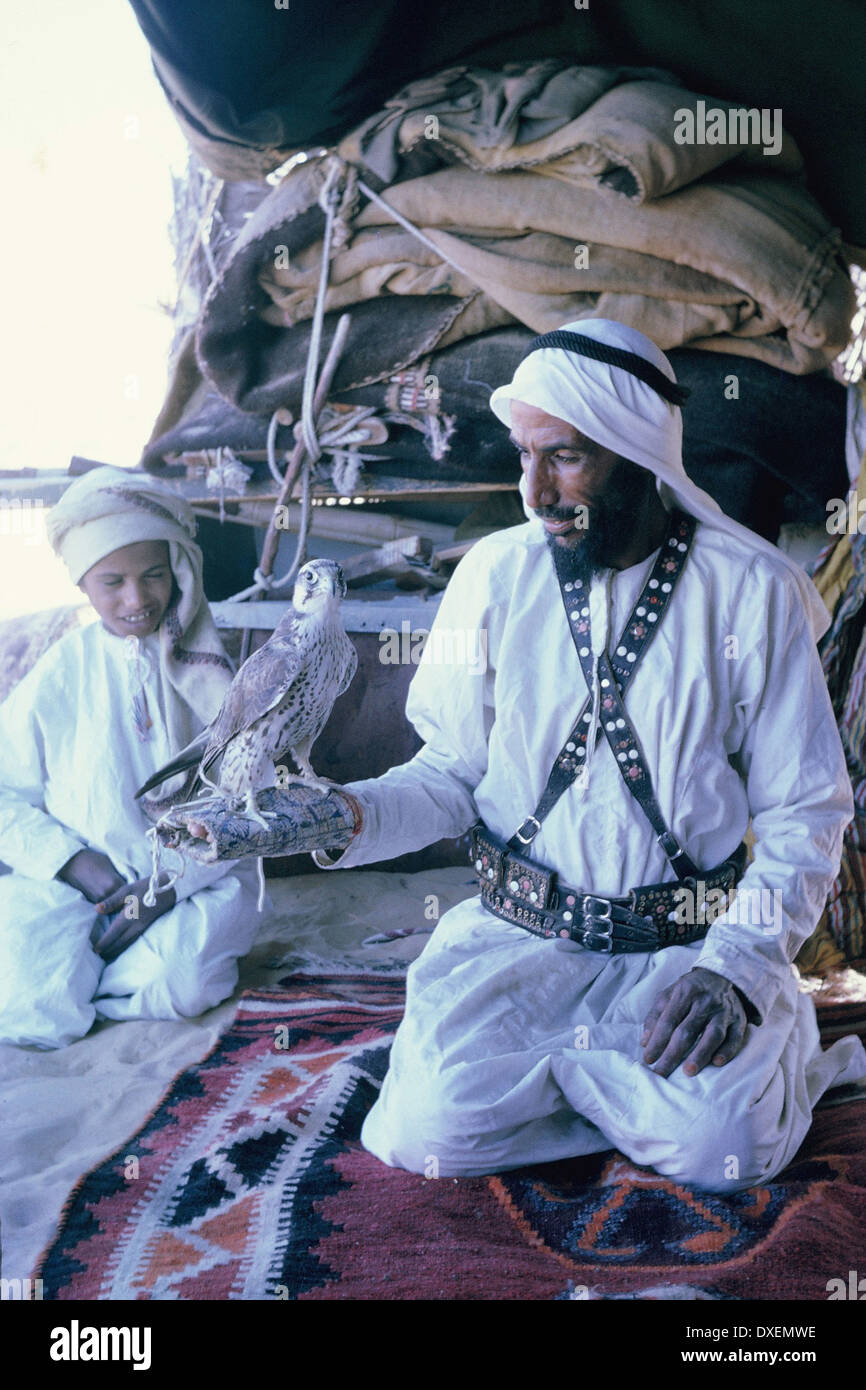 Faucon et fauconnier Banque de photographies et d’images à haute ...