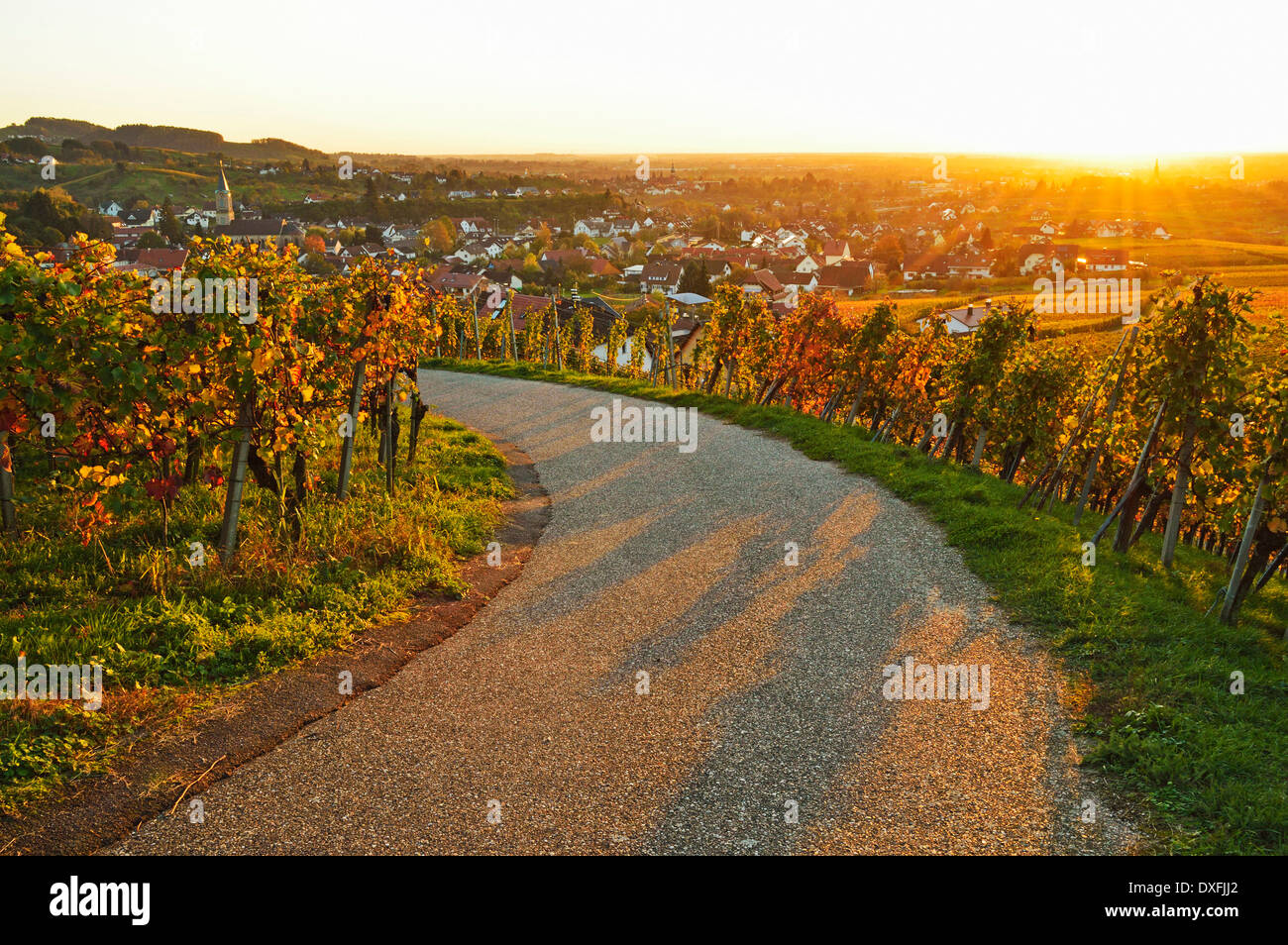 Baden wurttemberg village route Banque de photographies et d’images à ...