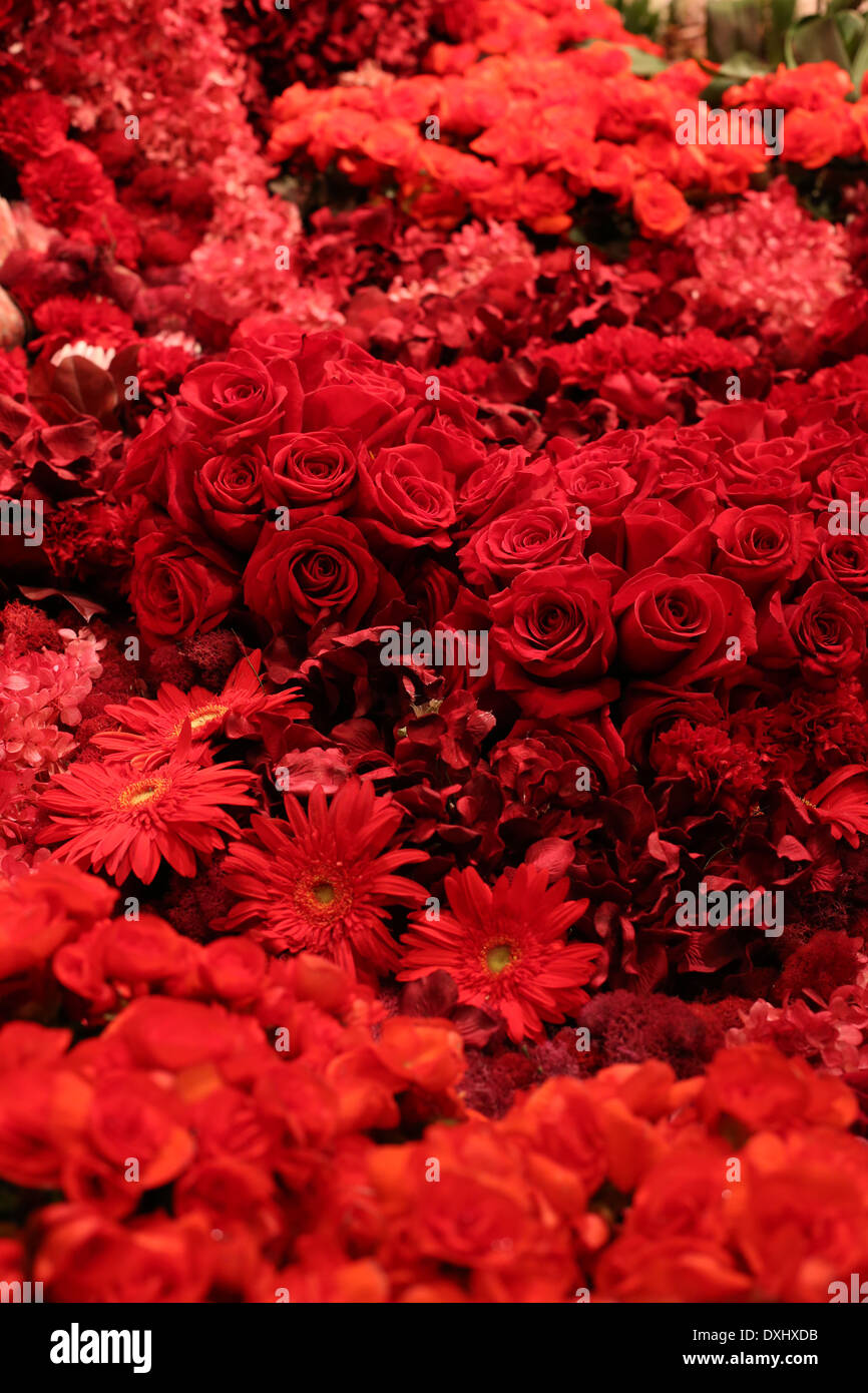 Toutes sortes de fleurs Banque de photographies et d’images à haute ...