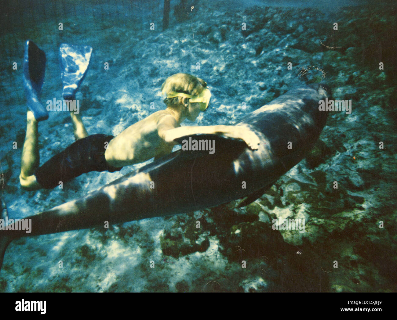 Flipper 1963 film Banque de photographies et d’images à haute ...