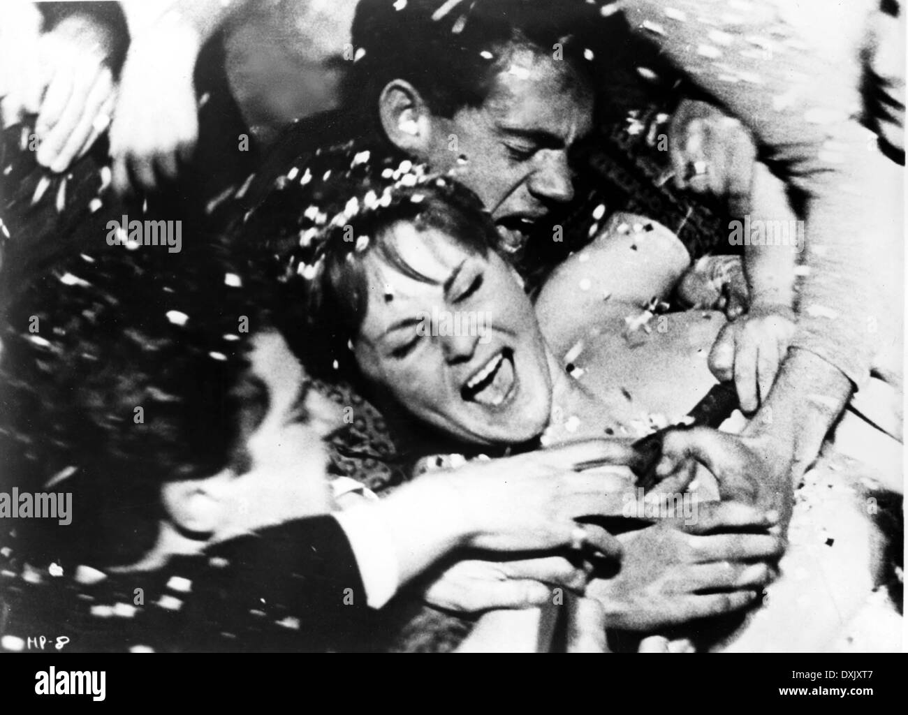 Mondo cane Banque de photographies et d’images à haute résolution - Alamy