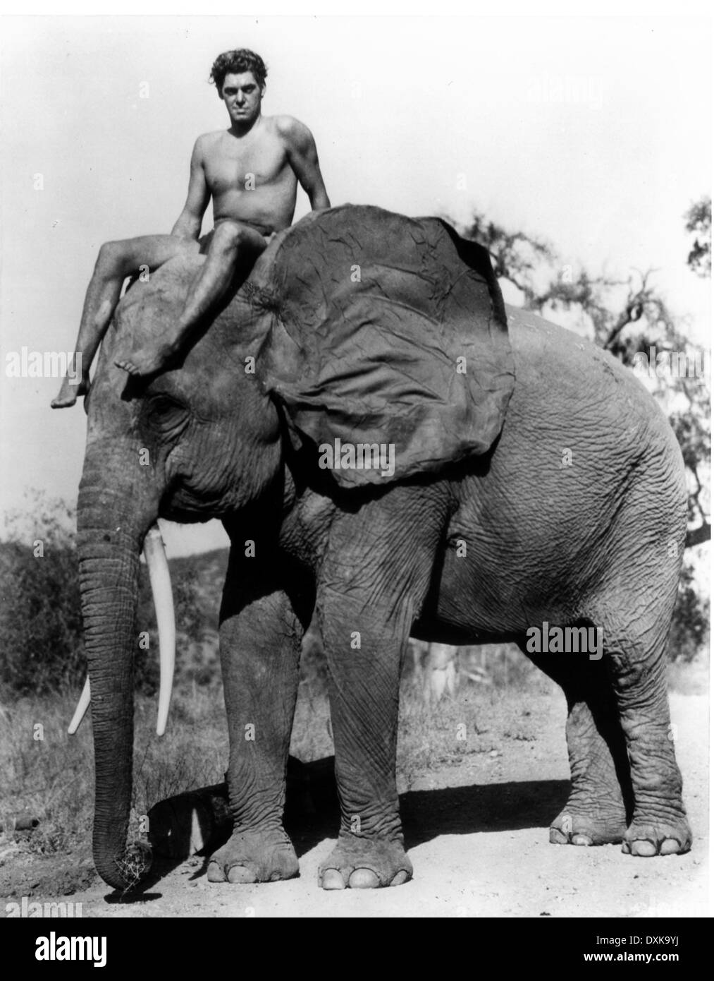 Johnny weissmuller as tarzan Banque de photographies et d’images à ...