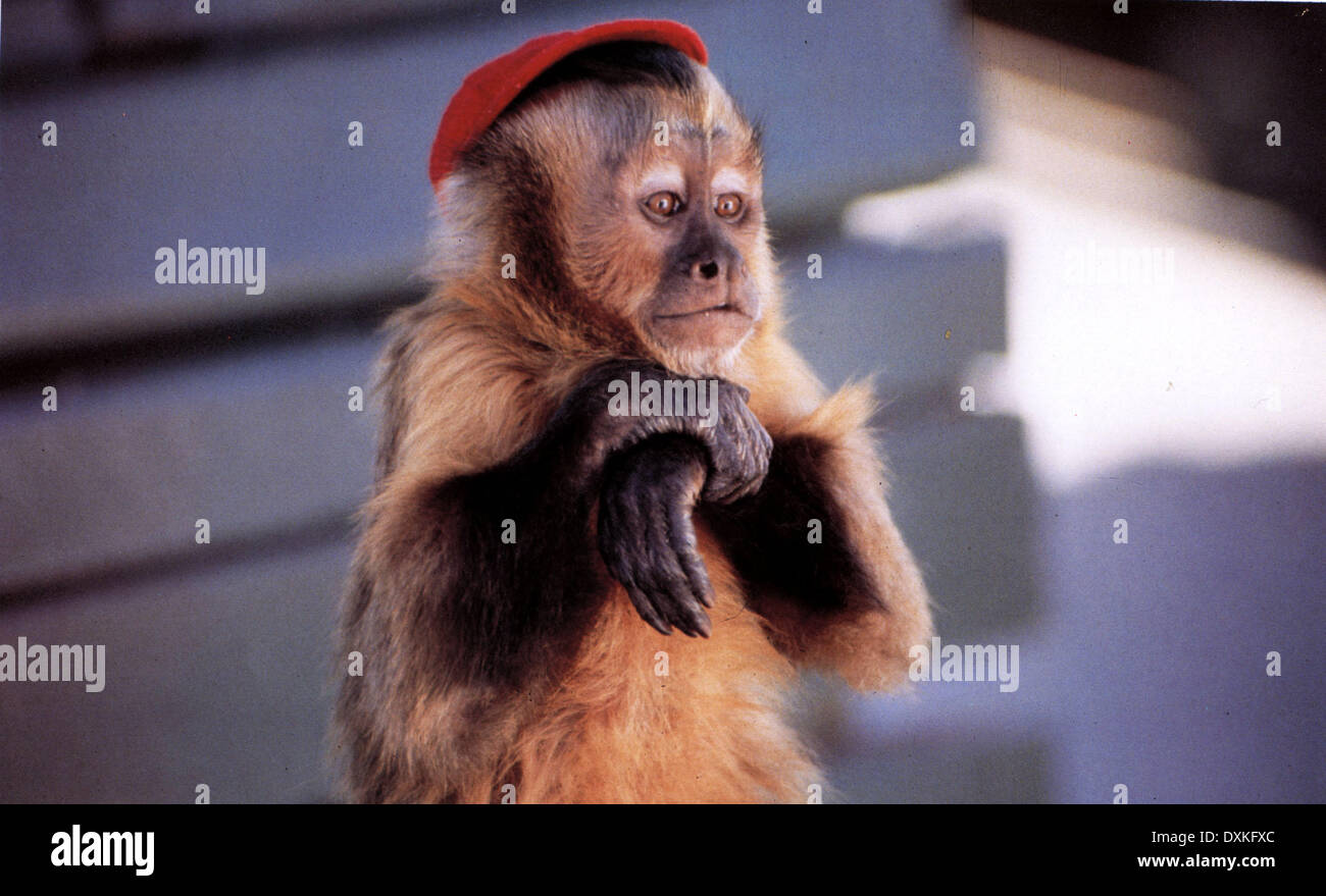 Monkey trouble 1994 Banque de photographies et d’images à haute ...