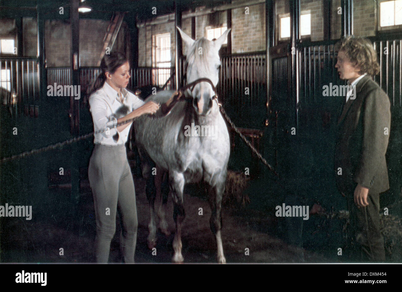 Peter firth jenny agutter equus Banque de photographies et d’images à ...