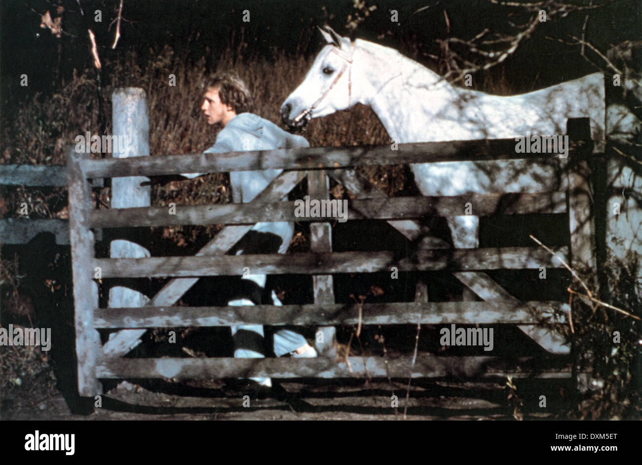 Equus 1977 Banque de photographies et d’images à haute résolution - Alamy