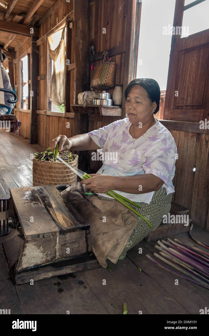 Padonma kyar Banque de photographies et d’images à haute résolution - Alamy