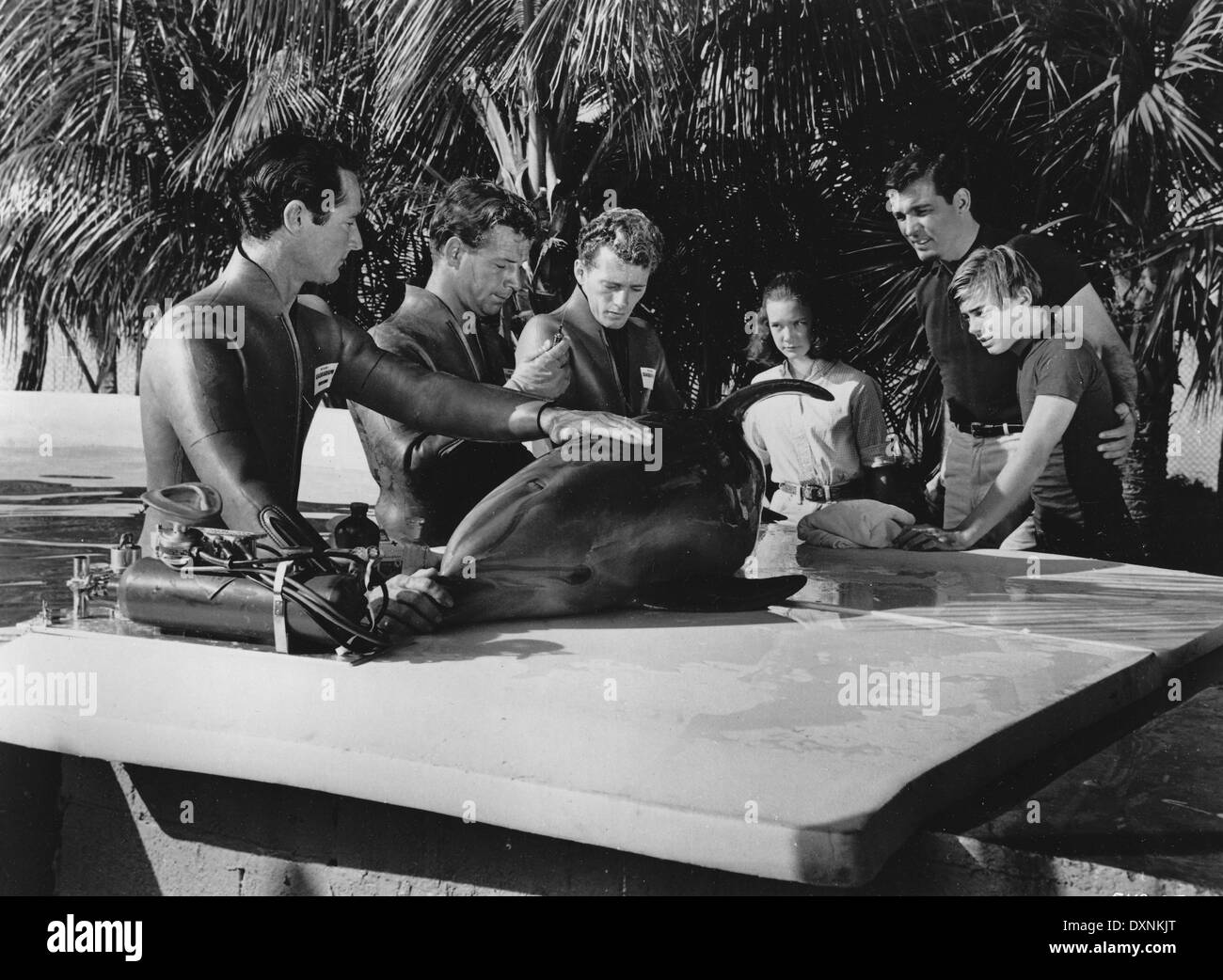 Brian kelly flipper Banque de photographies et d’images à haute ...