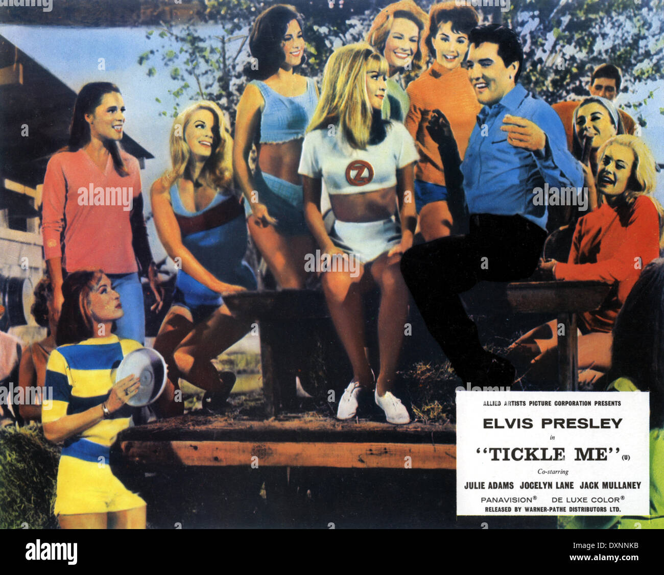 Tickle me 1965 elvis presley Banque de photographies et d’images à ...