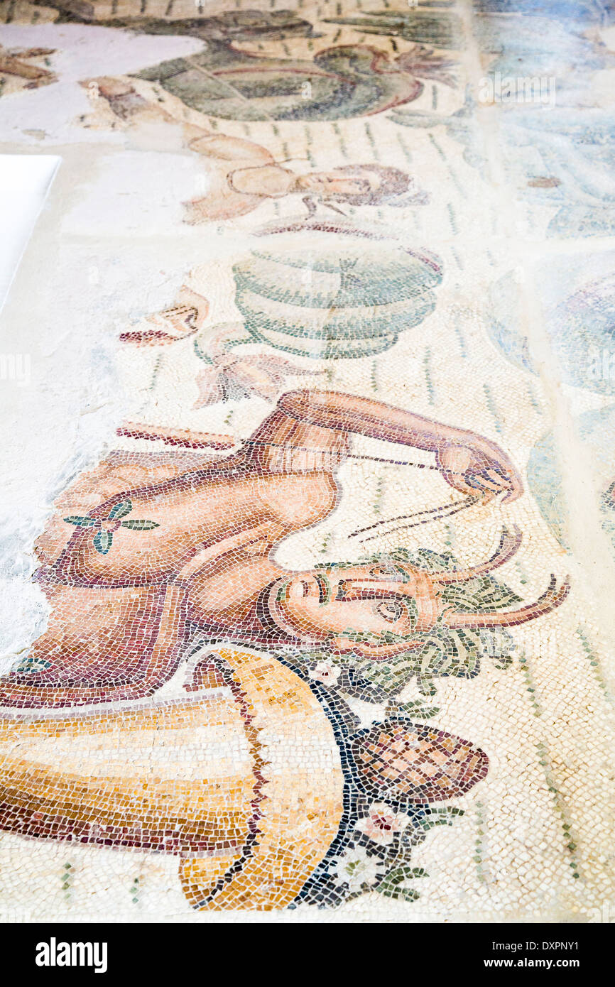 Tunisia carthage mosaic Banque de photographies et d’images à haute ...