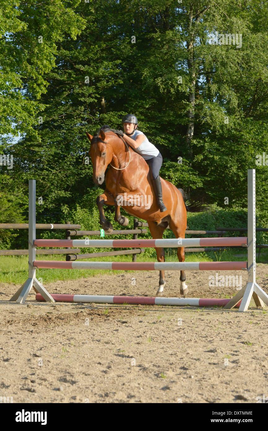 Neck ring Banque de photographies et d’images à haute résolution - Alamy