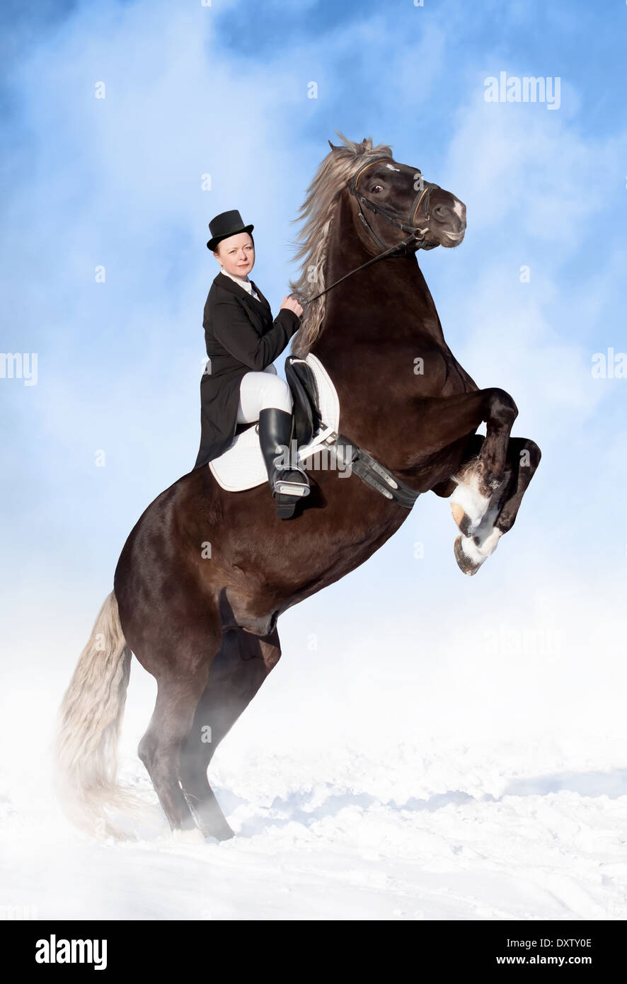 Horse rearing up Banque de photographies et d’images à haute résolution ...