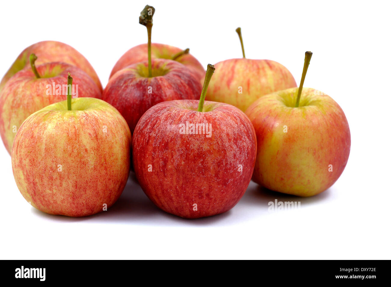 Variété de pommes gala Banque de photographies et d’images à haute ...