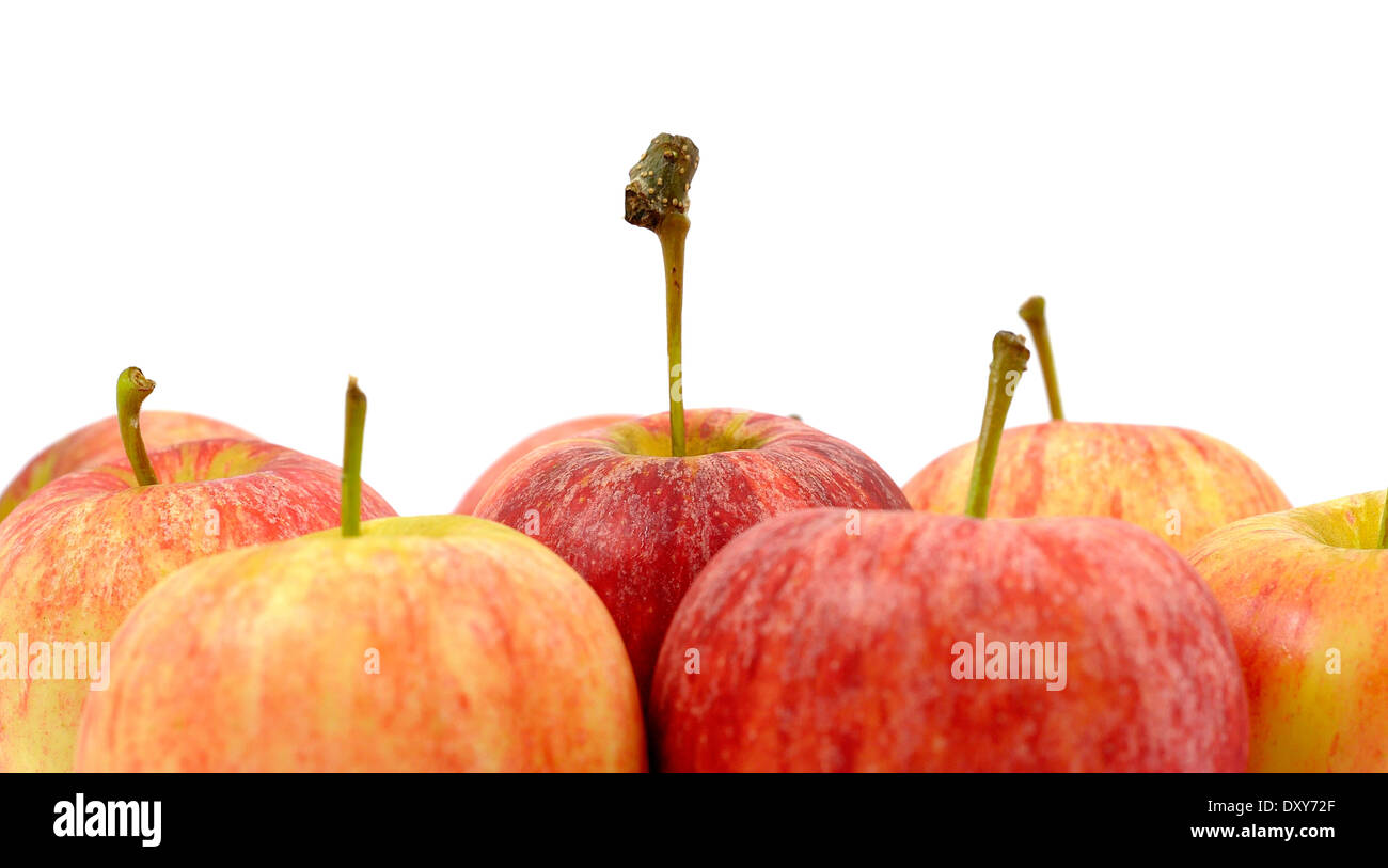 Variété de pommes gala Banque de photographies et d’images à haute ...