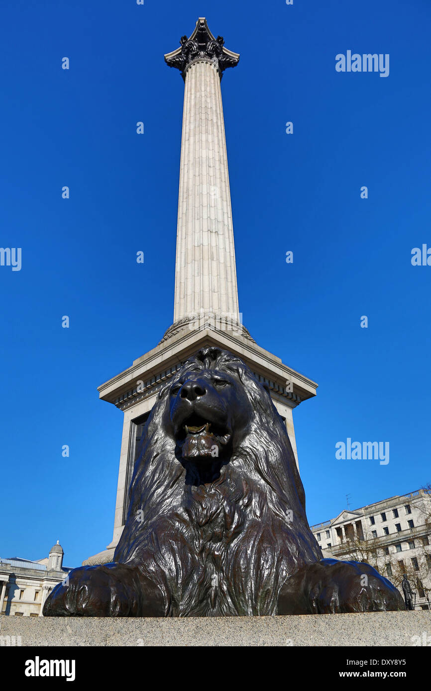 Nelsons column lion Banque de photographies et d’images à haute ...